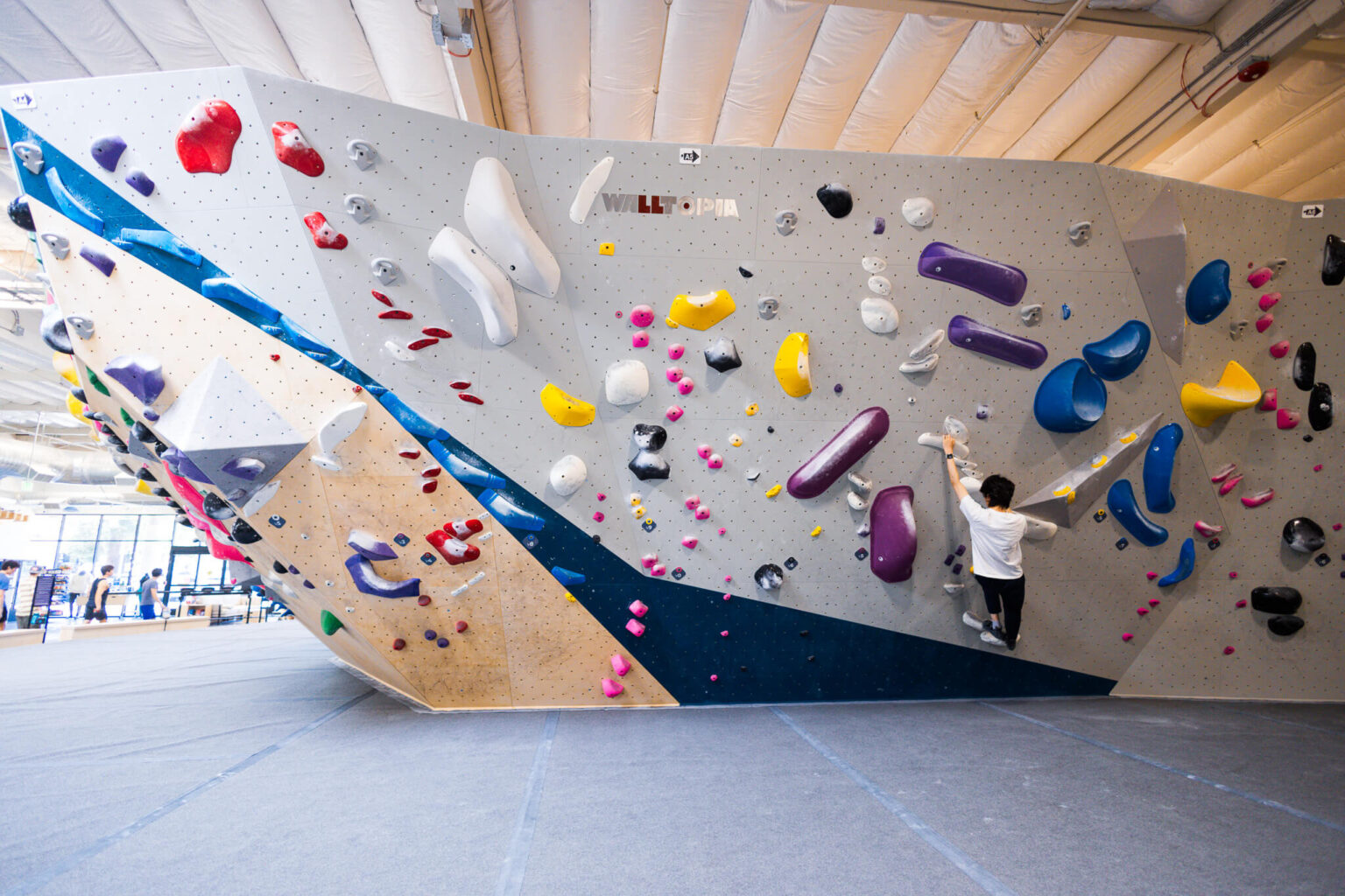 Pacific Construction – Building Your Future